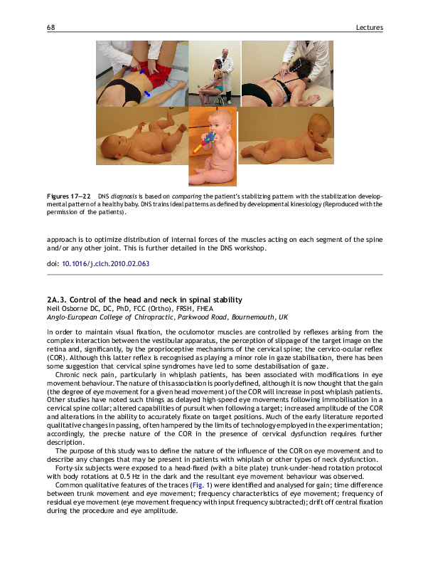 (PDF) 2A.3. Control of the head and neck in spinal stability
