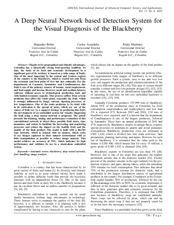 (PDF) A Deep Neural Network based Detection System for the Visual Diagnosis of the Blackberry