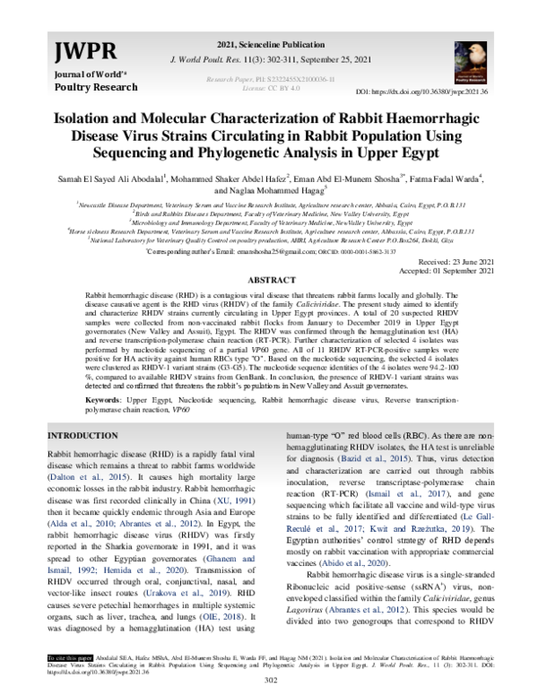 (PDF) Isolation and Molecular Characterization of Rabbit Haemorrhagic Disease Virus Strains ...
