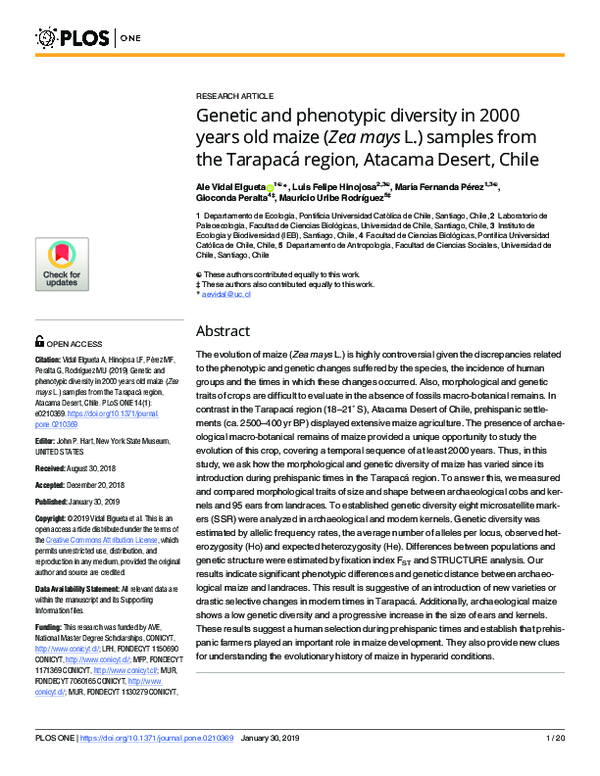 (PDF) Genetic and phenotypic diversity in 2000 years old maize (Zea mays L.) samples from the ...