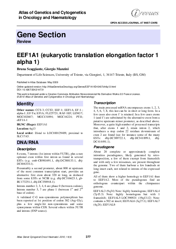 (PDF) EEF1A1 (eukaryotic translation elongation factor 1 alpha 1)