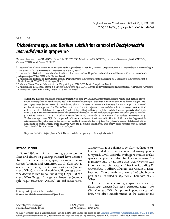 (PDF) Trichoderma spp. and Bacillus subtilis for control of Dactylonectria macrodidyma in grapevine