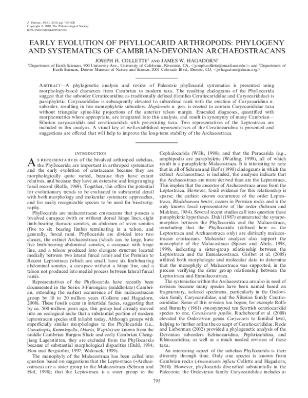 (PDF) EARLY EVOLUTION OF PHYLLOCARID ARTHROPODS: PHYLOGENY AND ...