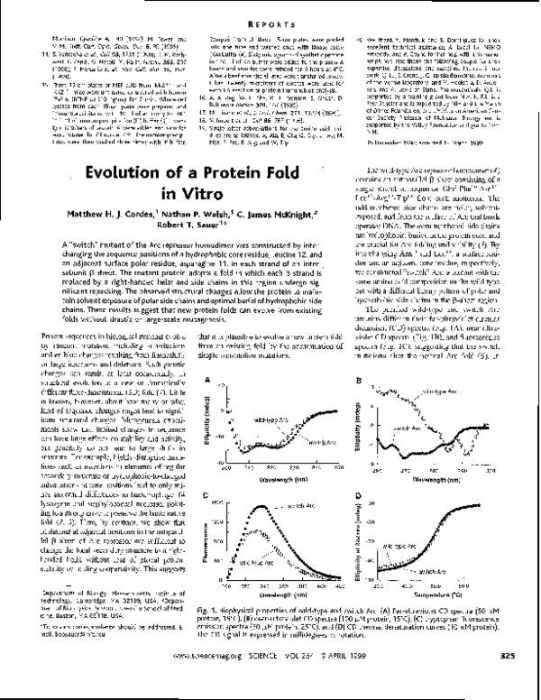 (PDF) Evolution of a Protein Fold in Vitro