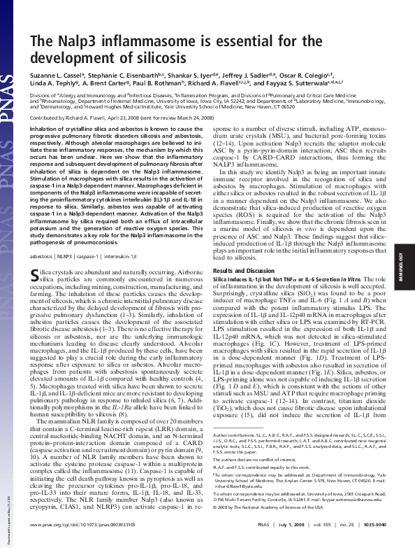 (PDF) The Nalp3 inflammasome is essential for the development of ...