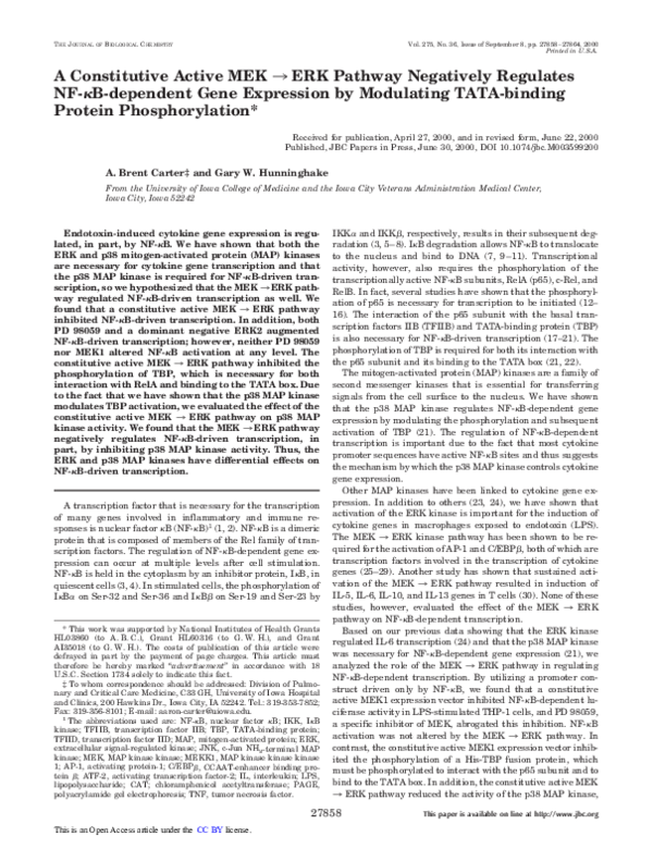 (PDF) A Constitutive Active MEK → ERK Pathway Negatively Regulates NF ...