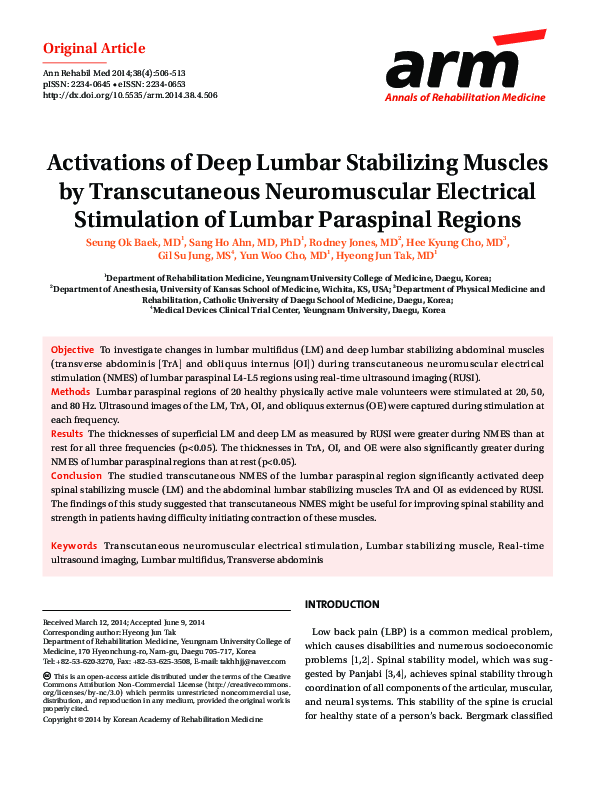 (PDF) Activations of Deep Lumbar Stabilizing Muscles by Transcutaneous ...