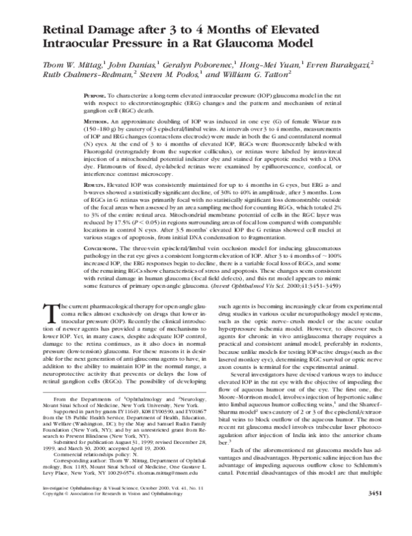 (PDF) Retinal damage after 3 to 4 months of elevated intraocular ...