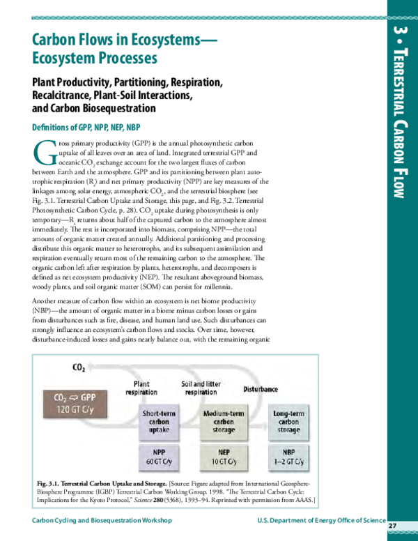 (PDF) Carbon Flows in Ecosystems Ecosystem Processes