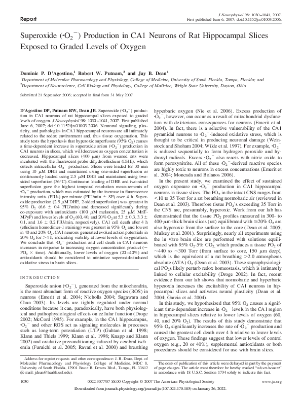 (PDF) Superoxide (·O2−) Production in CA1 Neurons of Rat Hippocampal ...