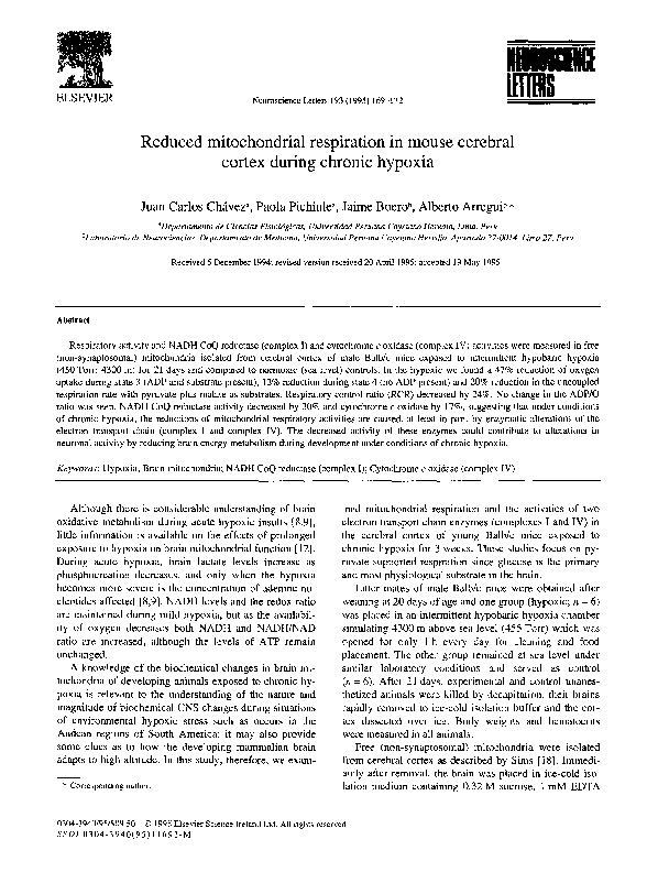 (PDF) Reduced mitochondrial respiration in mouse cerebral cortex during chronic hypoxia