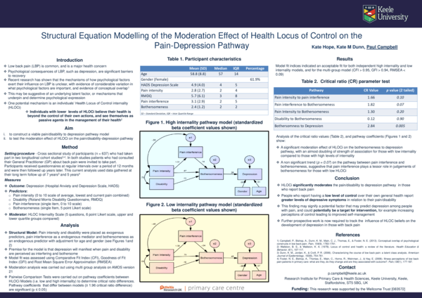 (PDF) Structural equation modelling of the moderation effect of health ...