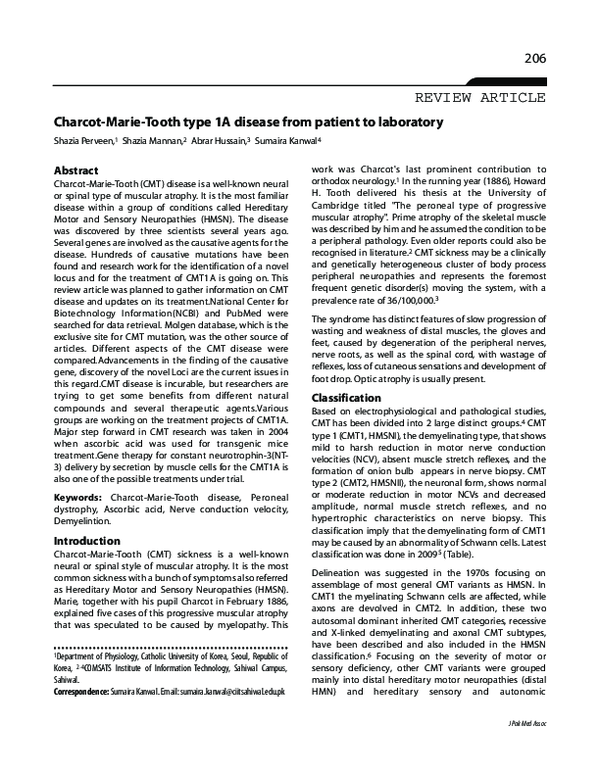 (PDF) Charcot-Marie-Tooth type 1A disease from patient to laboratory