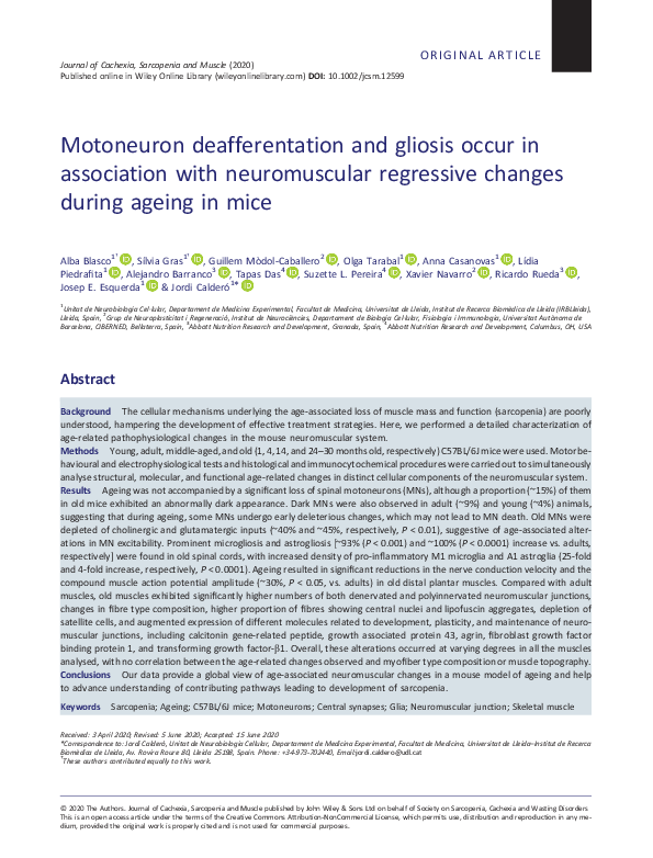 (PDF) Motoneuron deafferentation and gliosis occur in association with ...