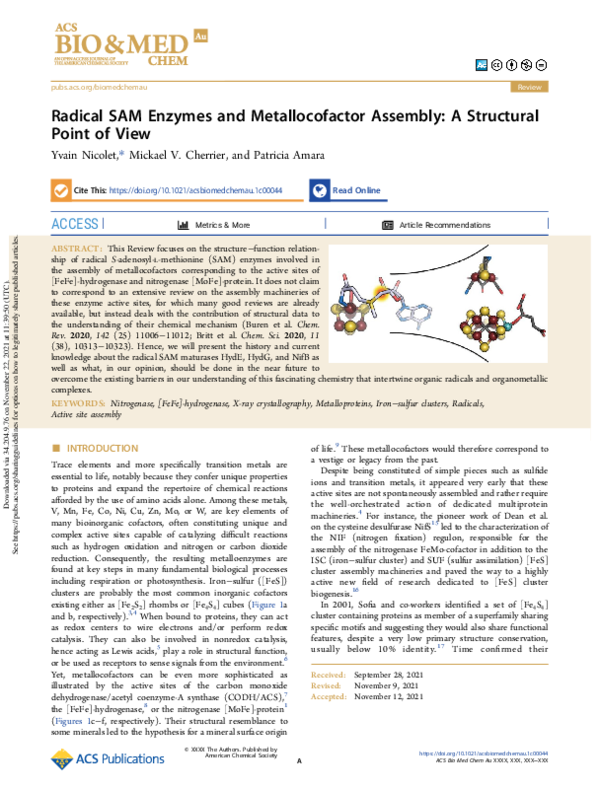 (PDF) Radical SAM Enzymes and Metallocofactor Assembly: A Structural ...