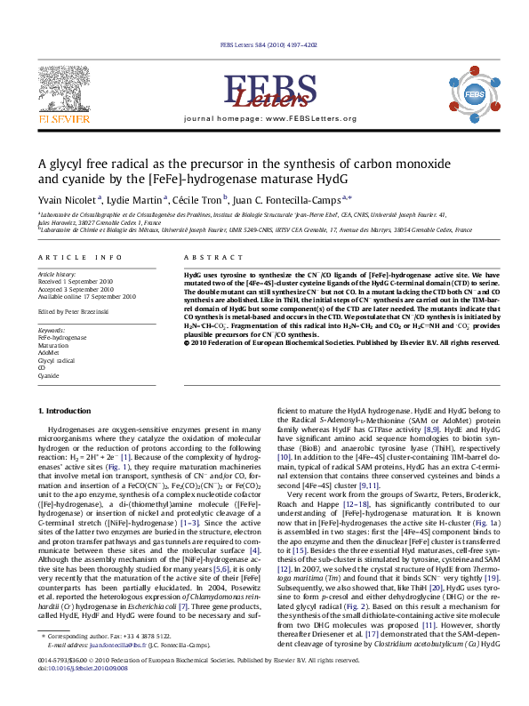 (PDF) A glycyl free radical as the precursor in the synthesis of carbon ...
