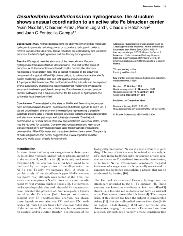 (PDF) Desulfovibrio desulfuricans iron hydrogenase: the structure shows ...