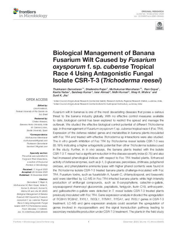 (PDF) Biological Management of Banana Fusarium Wilt Caused by Fusarium oxysporum f. sp. cubense ...