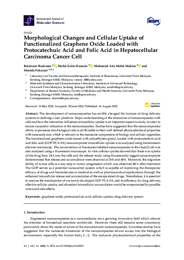 (PDF) Morphological Changes and Cellular Uptake of Functionalized Graphene Oxide Loaded with ...