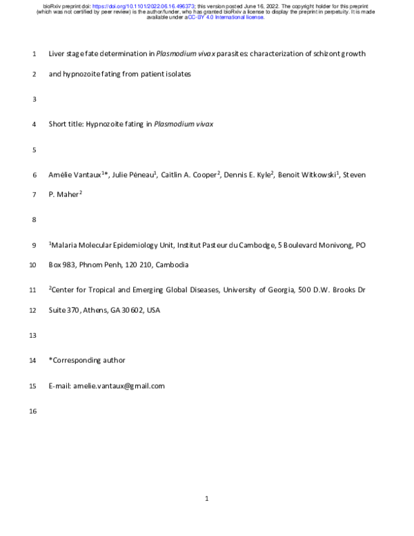 (PDF) Liver stage fate determination in Plasmodium vivax parasites ...