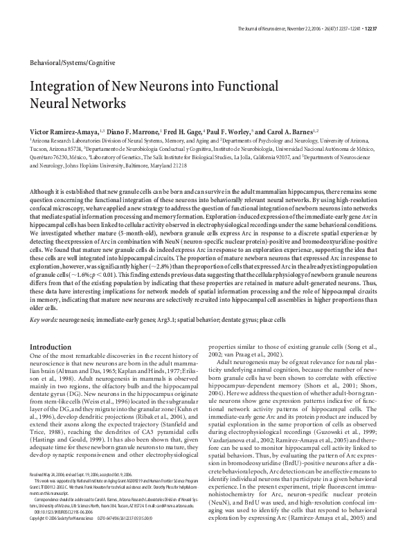 (PDF) Integration of New Neurons into Functional Neural Networks