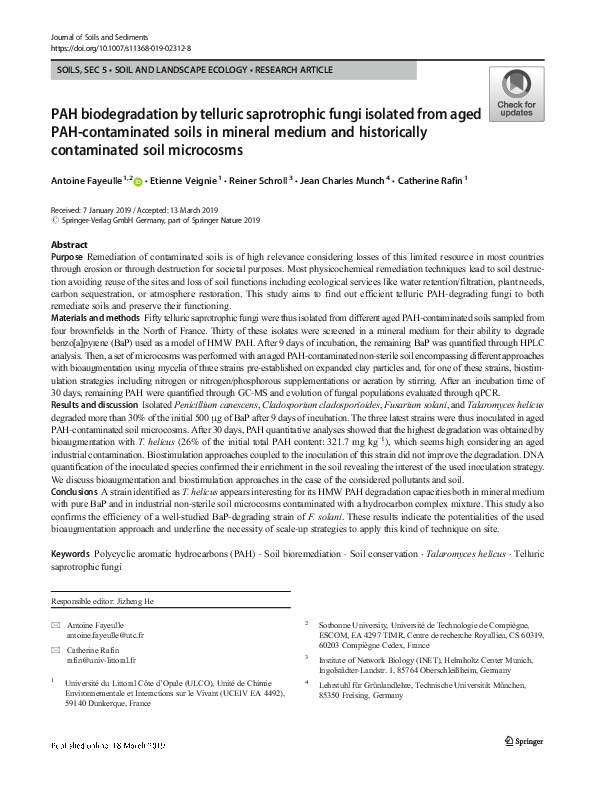 (PDF) PAH biodegradation by telluric saprotrophic fungi isolated from ...