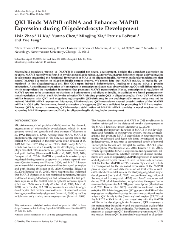 (PDF) QKI Binds MAP1B mRNA and Enhances MAP1B Expression during ...
