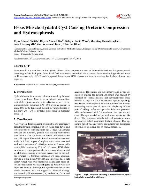 (PDF) Psoas Muscle Hydatid Cyst Causing Ureteric Compression and ...