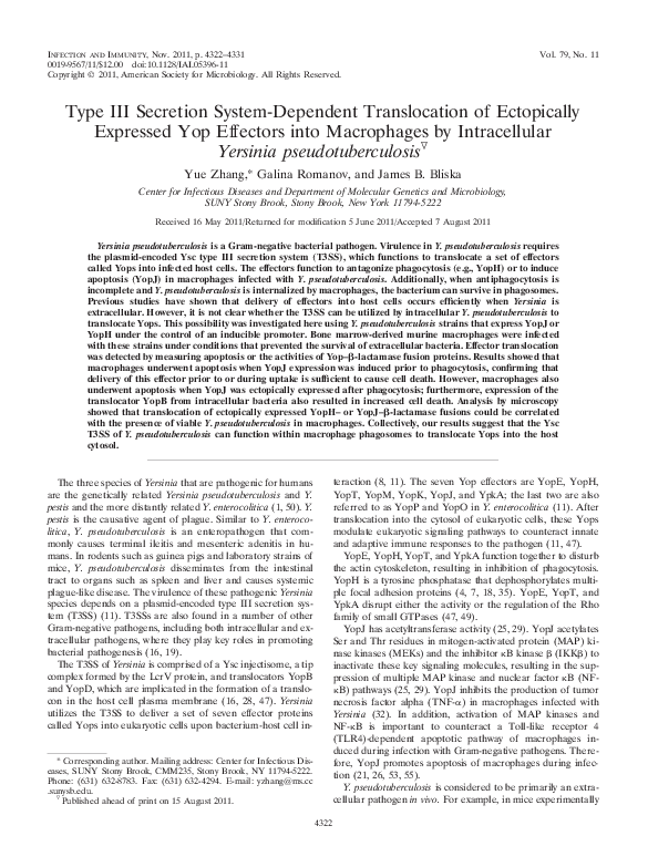(PDF) Type III Secretion System-Dependent Translocation of Ectopically ...