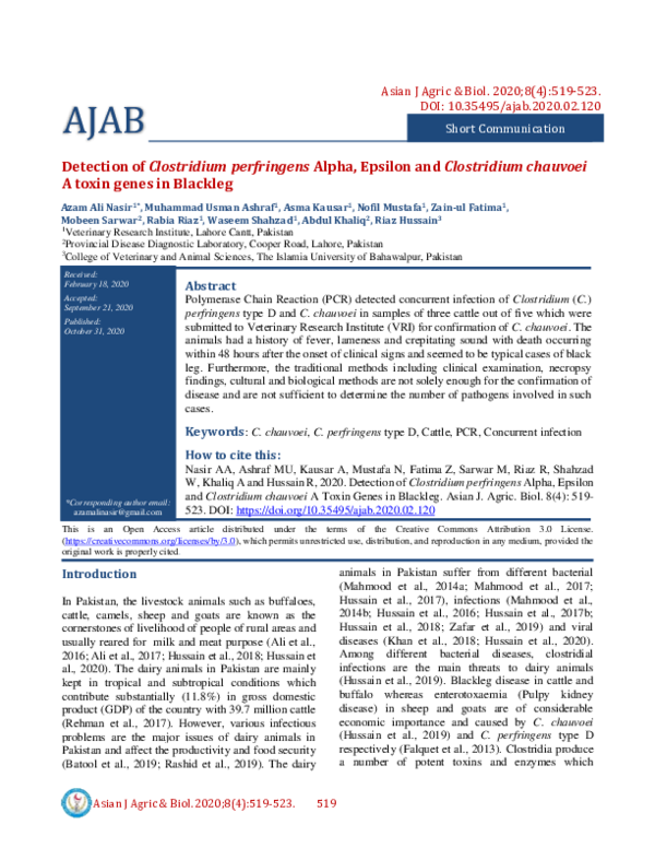 (PDF) Detection of Clostridium perfringens Alpha, Epsilon and ...