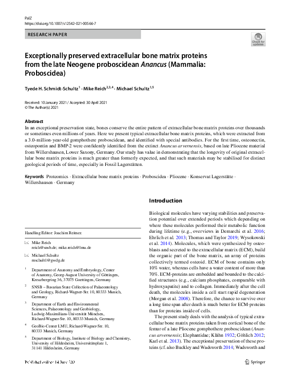 (PDF) Exceptionally preserved extracellular bone matrix proteins from ...