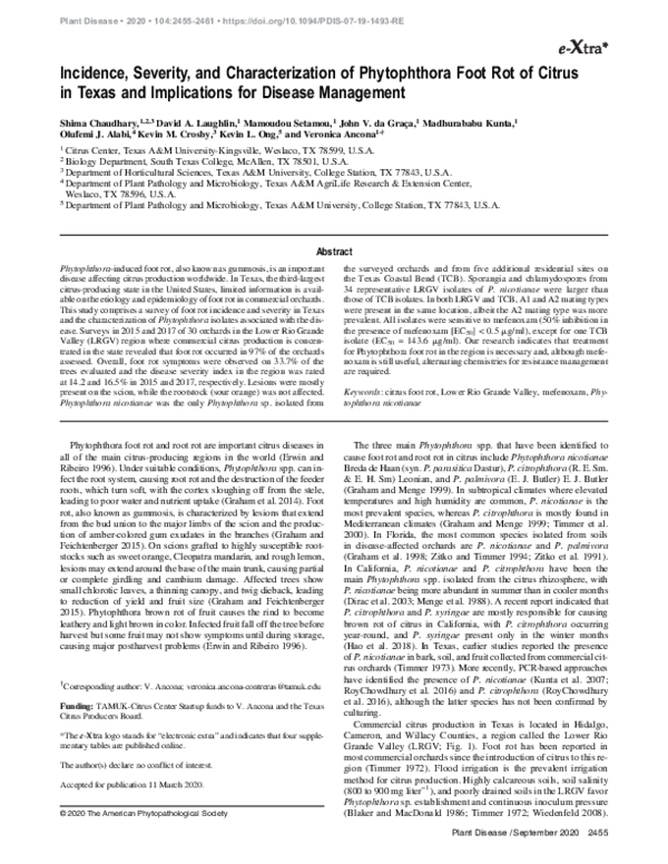 (PDF) Incidence, Severity, and Characterization of Phytophthora Foot ...