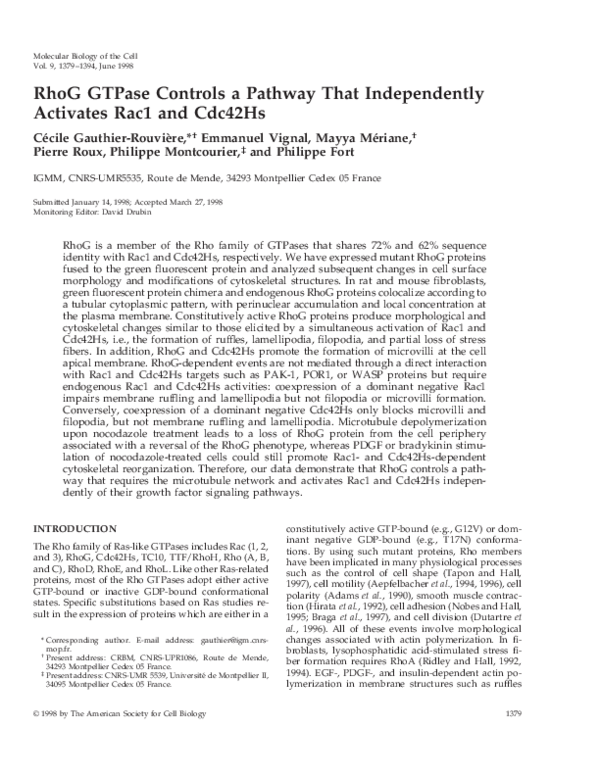 (PDF) RhoG GTPase Controls a Pathway That Independently Activates Rac1 ...