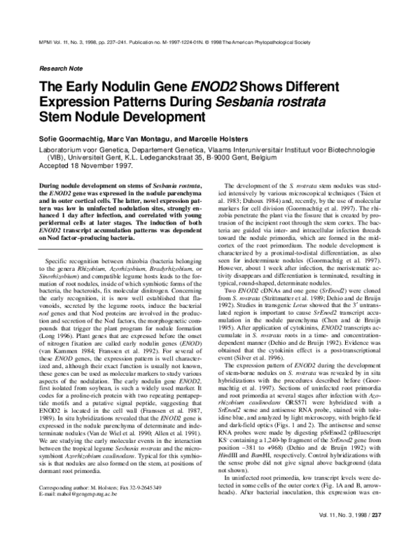 (PDF) The Early Nodulin Gene ENOD2 Shows Different Expression Patterns ...
