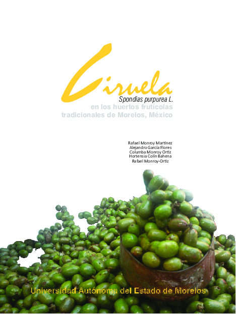 (PDF) Ciruela Spondias purpurea L. en los huertos frutícolas tradicionales de Morelos