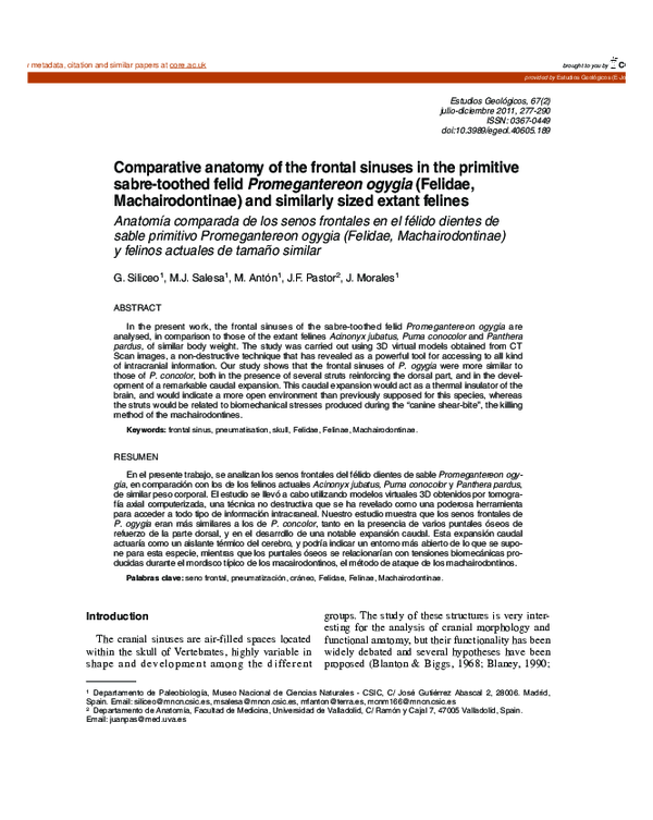 (PDF) Comparative anatomy of the frontal sinuses in the primitive sabre ...