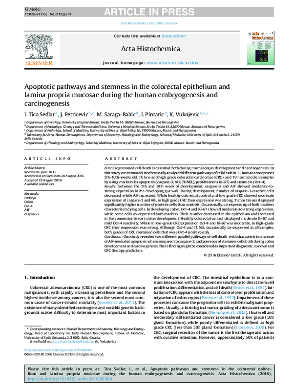 (PDF) Apoptotic pathways and stemness in the colorectal epithelium and ...