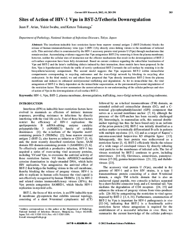 (PDF) Sites of Action of HIV-1 Vpu in BST-2/Tetherin Downregulation