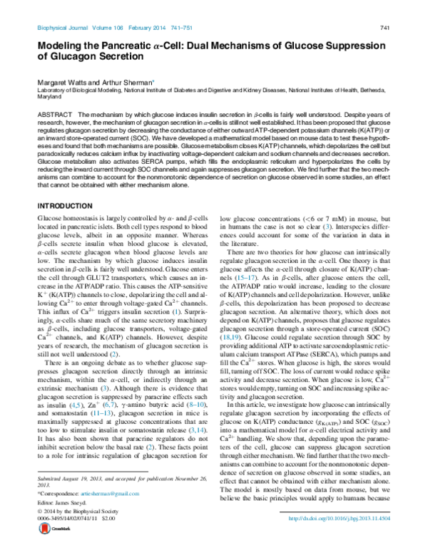 (PDF) Modeling the Pancreatic α-Cell: Dual Mechanisms of Glucose ...