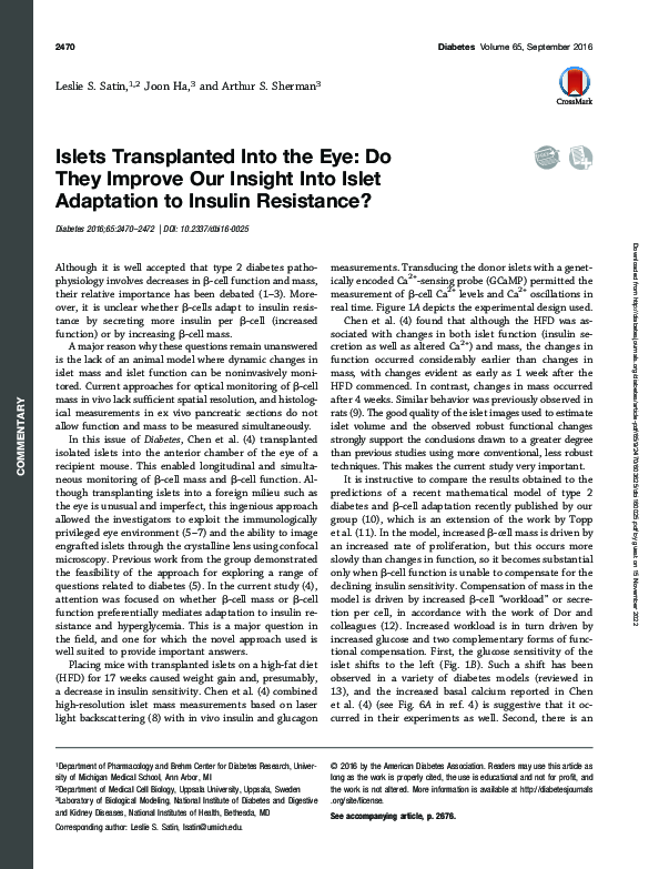 (PDF) Islets Transplanted Into the Eye: Do They Improve Our Insight ...