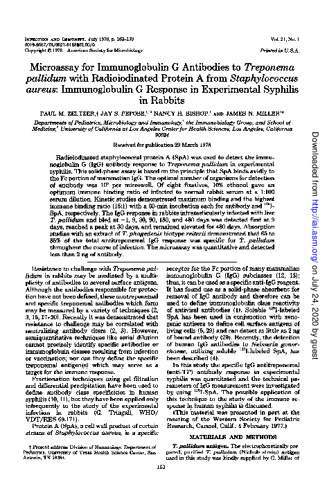 (PDF) Microassay for immunoglobulin G antibodies to Treponema pallidum ...