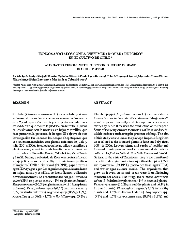 (PDF) Hongos asociados con la enfermedad" miada de perro" en el cultivo ...