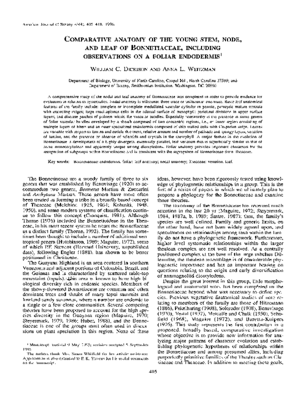 (PDF) Comparative Anatomy of the Young Stem, Node, and Leaf of ...