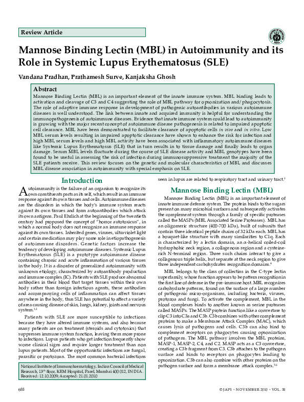 Pdf Mannose Binding Lectin Mbl In Autoimmunity And Its Role In Systemic Lupus Erythematosus