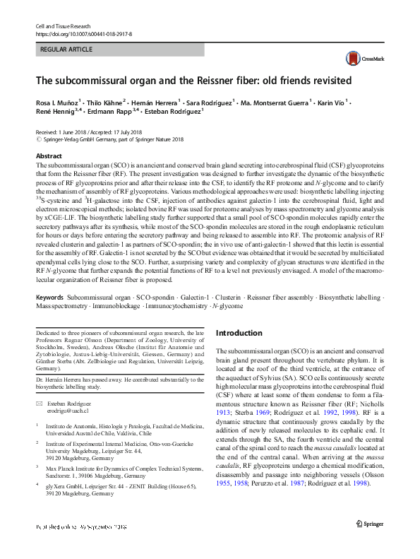 (PDF) The subcommissural organ and the Reissner fiber: old friends ...