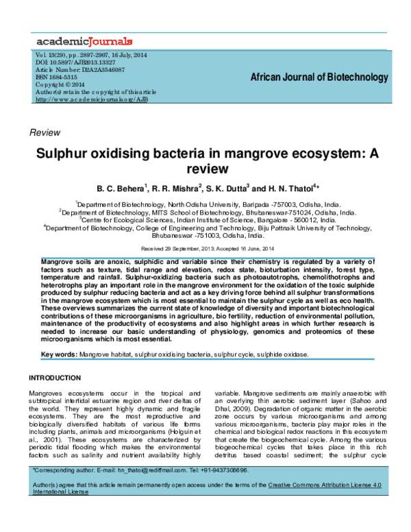 (PDF) Sulphur oxidising bacteria in mangrove ecosystem: A review