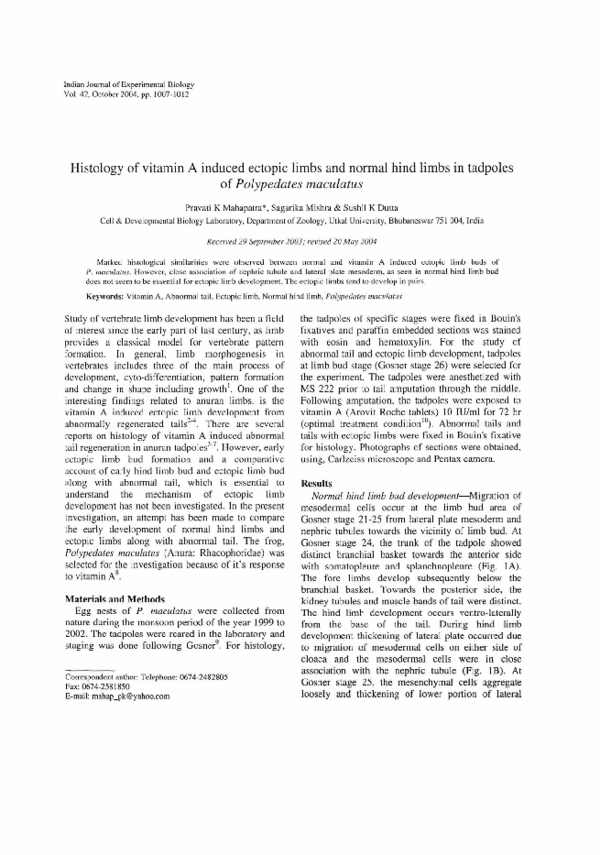 (PDF) Histology of vitamin A induced ectopic limbs and normal hind ...