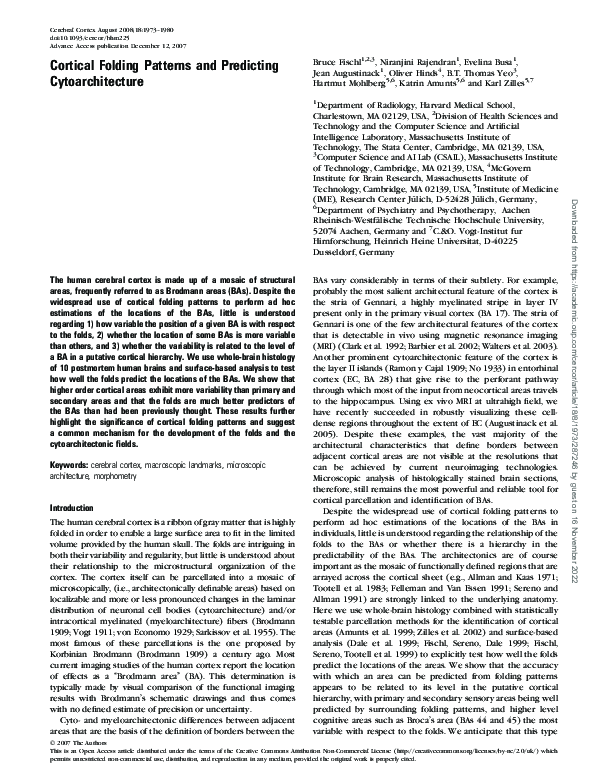 (PDF) Cortical Folding Patterns and Predicting Cytoarchitecture