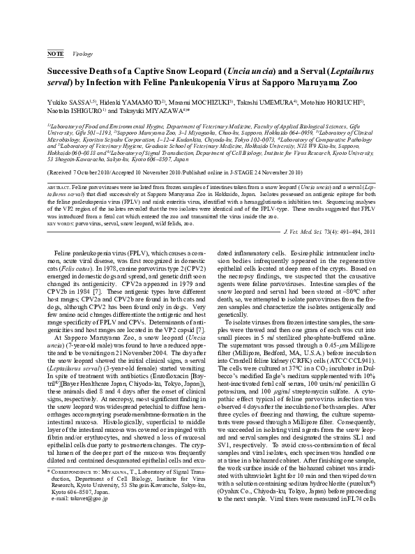 (PDF) Successive Deaths of a Captive Snow Leopard (Uncia uncia) and a ...