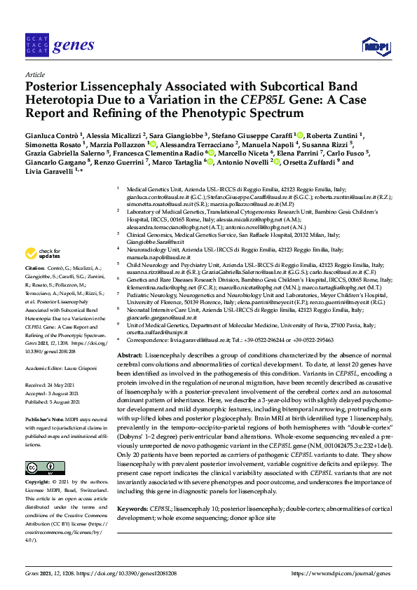 (PDF) Posterior Lissencephaly Associated with Subcortical Band ...